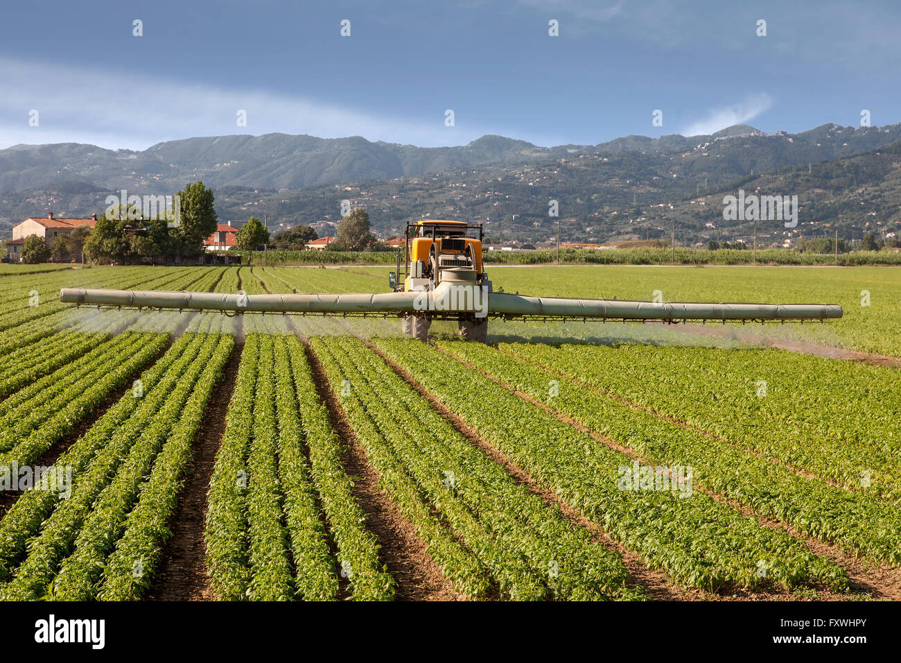 agriculture, tractor spraying pesticides on field farm Stock Photo - Alamy