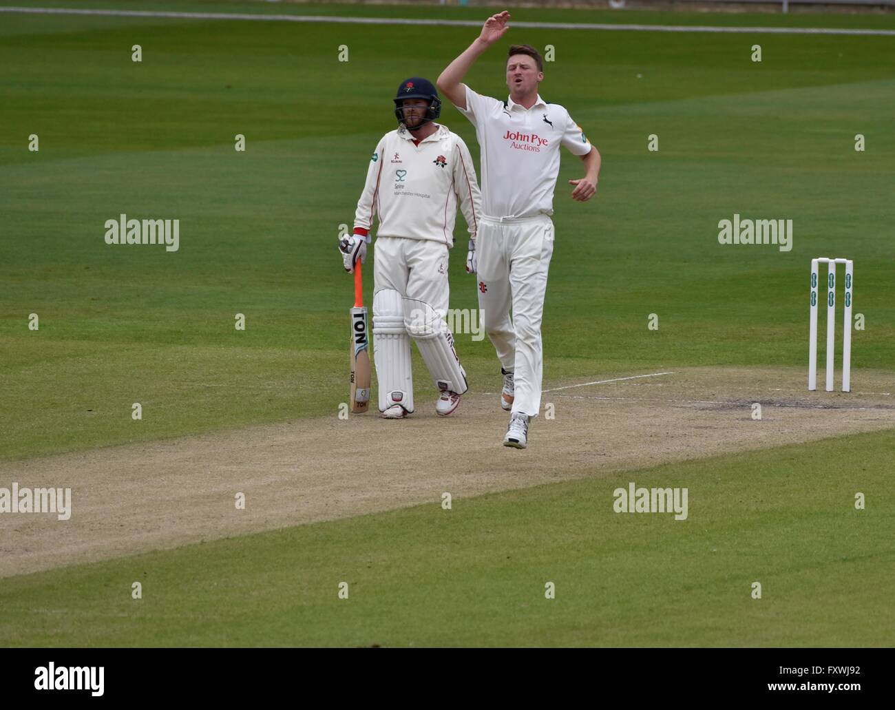 Jackson bird hi-res stock photography and images - Alamy