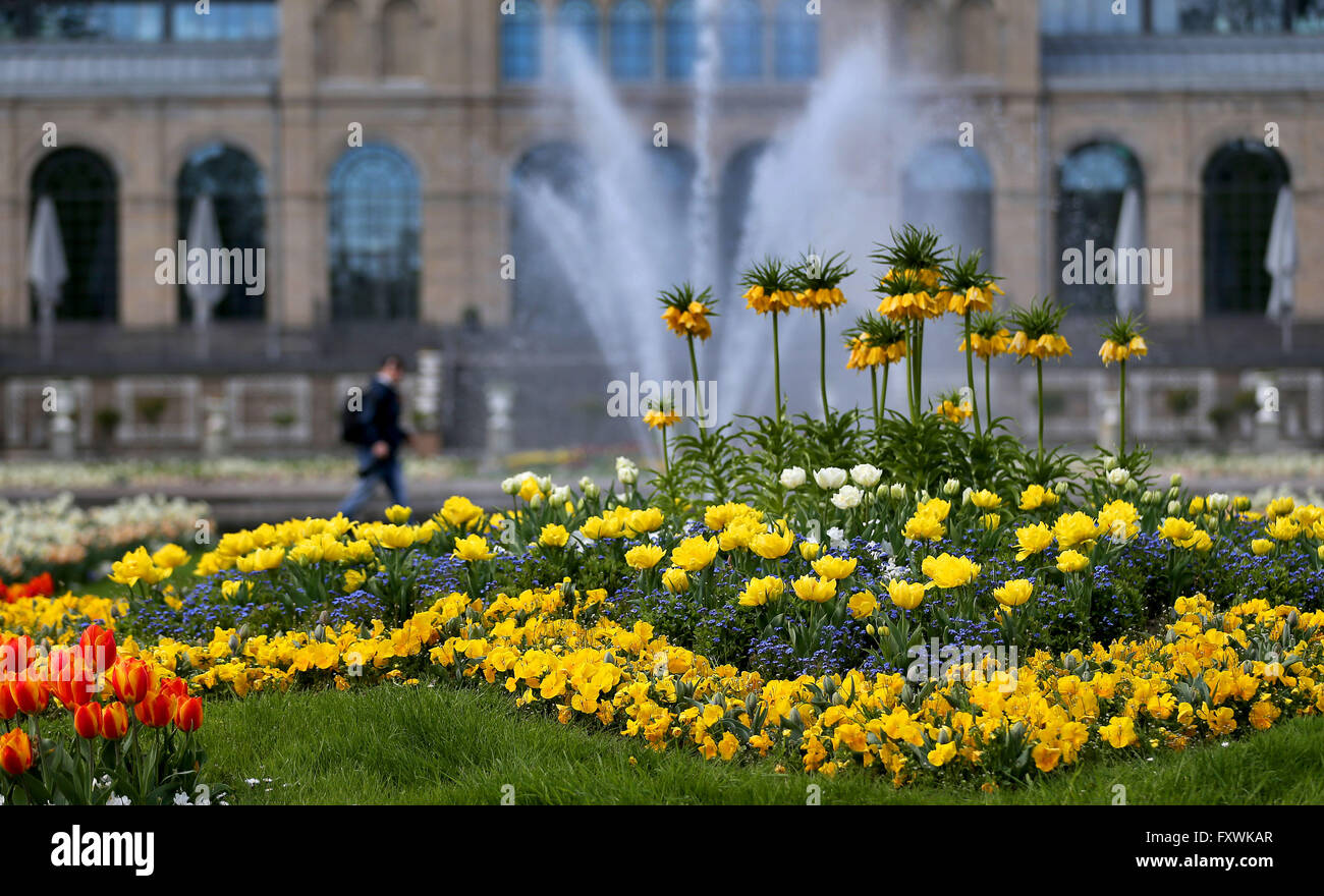 Spring blossoms fill the garden at the Forstbotanischer Garten in ...