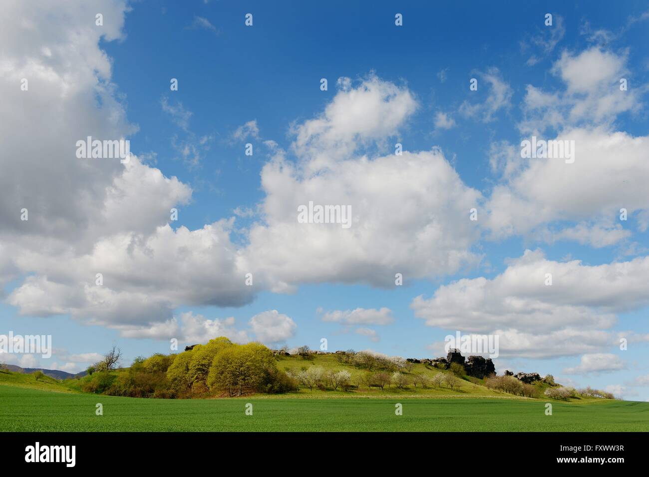 The mystic so calles devils wall (Teufelsmauer), Germany, near the city ...