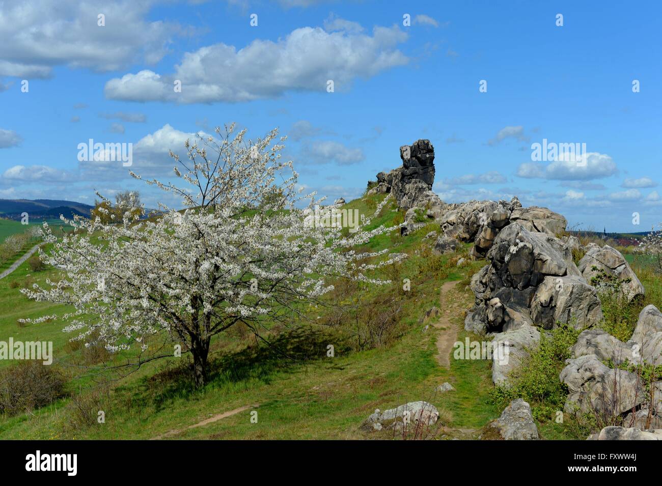 The mystic so calles devils wall (Teufelsmauer), Germany, near the city ...