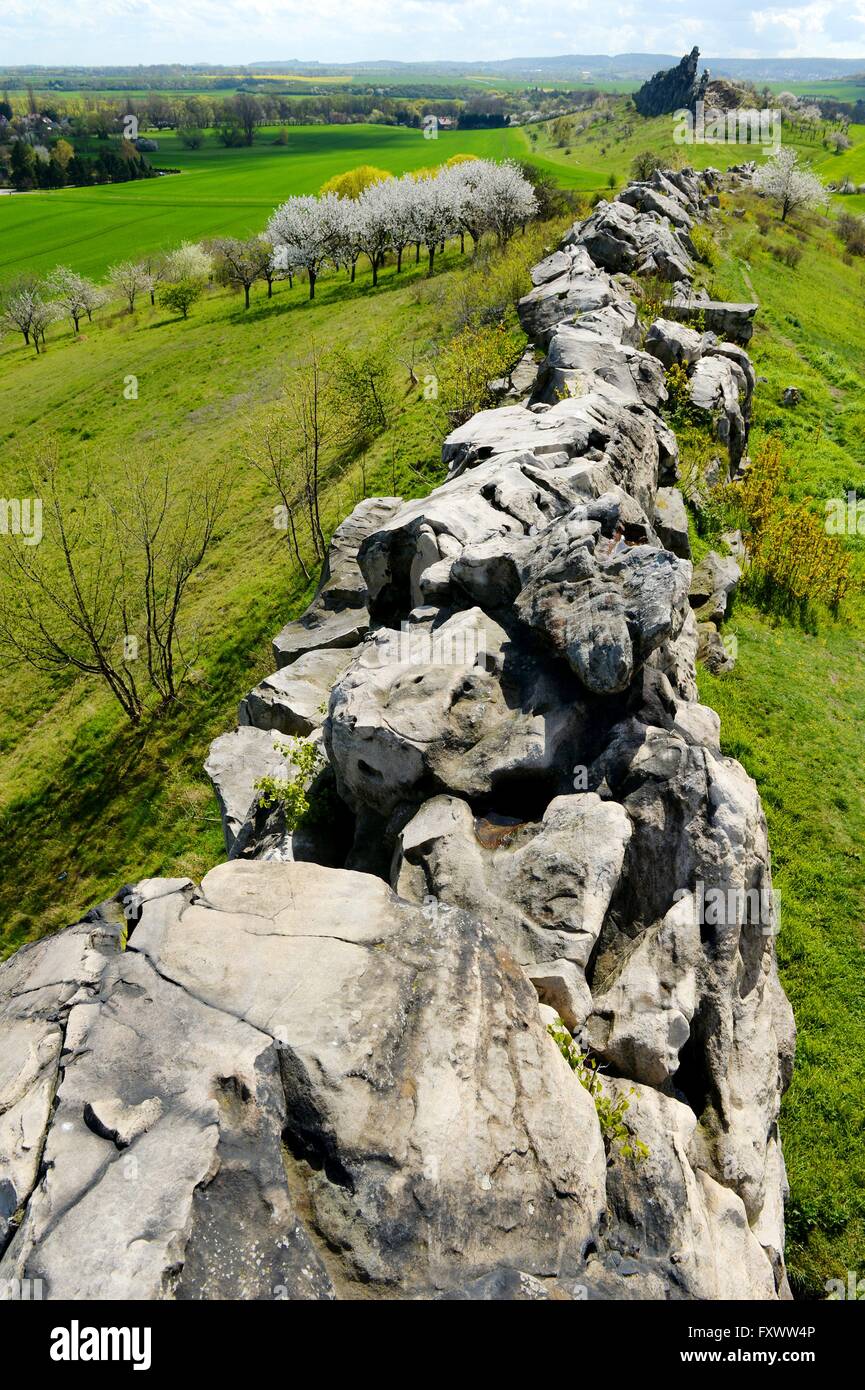 The mystic so calles devils wall (Teufelsmauer), Germany, near the city ...