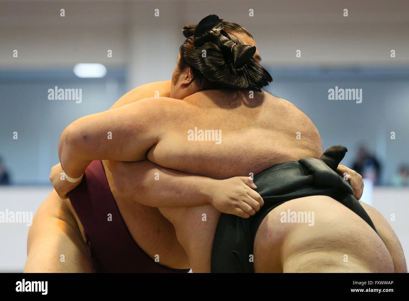 Ambiance shot, APRIL 18, 2016 - Sumo : Annual sumo tournament dedicated ...