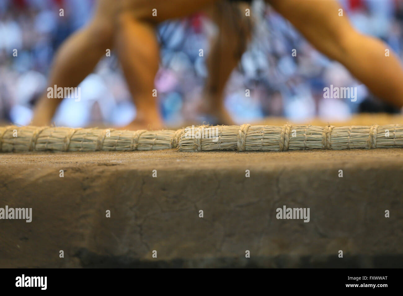 Ambiance shot, APRIL 18, 2016 - Sumo : Annual sumo tournament dedicated ...