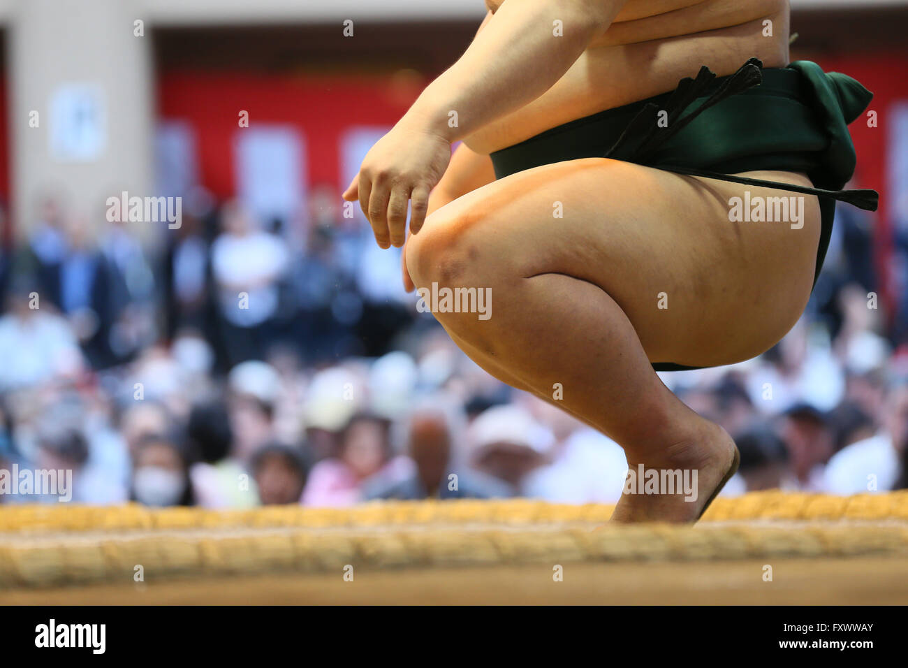 Ambiance shot, APRIL 18, 2016 - Sumo : Annual sumo tournament dedicated ...