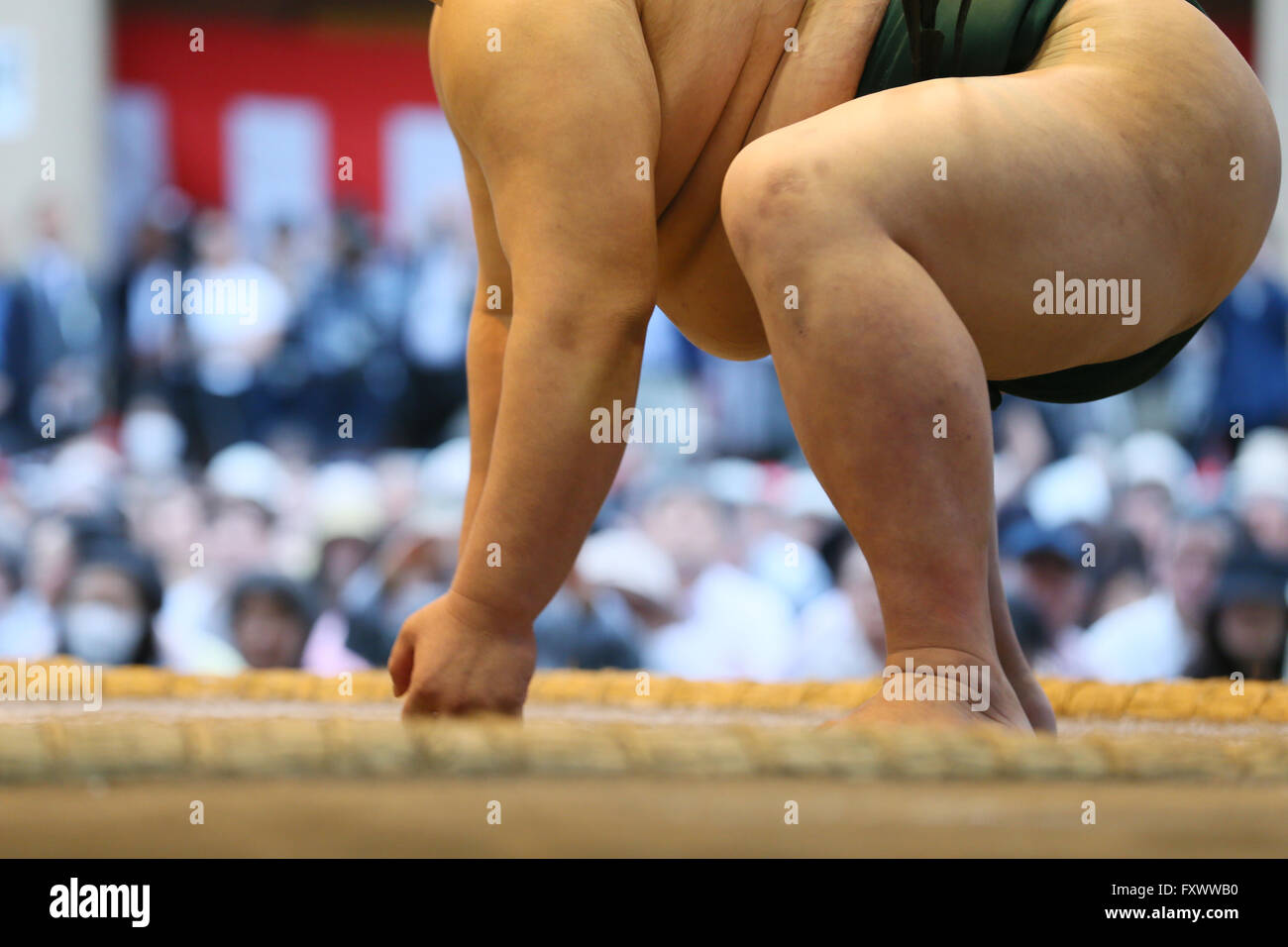 Ambiance shot, APRIL 18, 2016 - Sumo : Annual sumo tournament dedicated ...