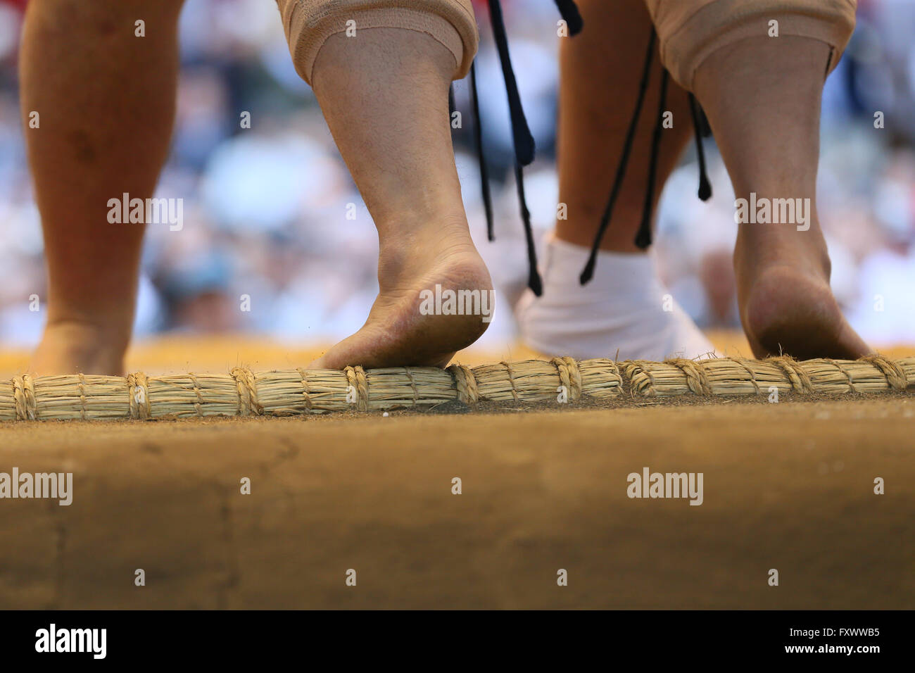 Ambiance shot, APRIL 18, 2016 - Sumo : Annual sumo tournament dedicated ...