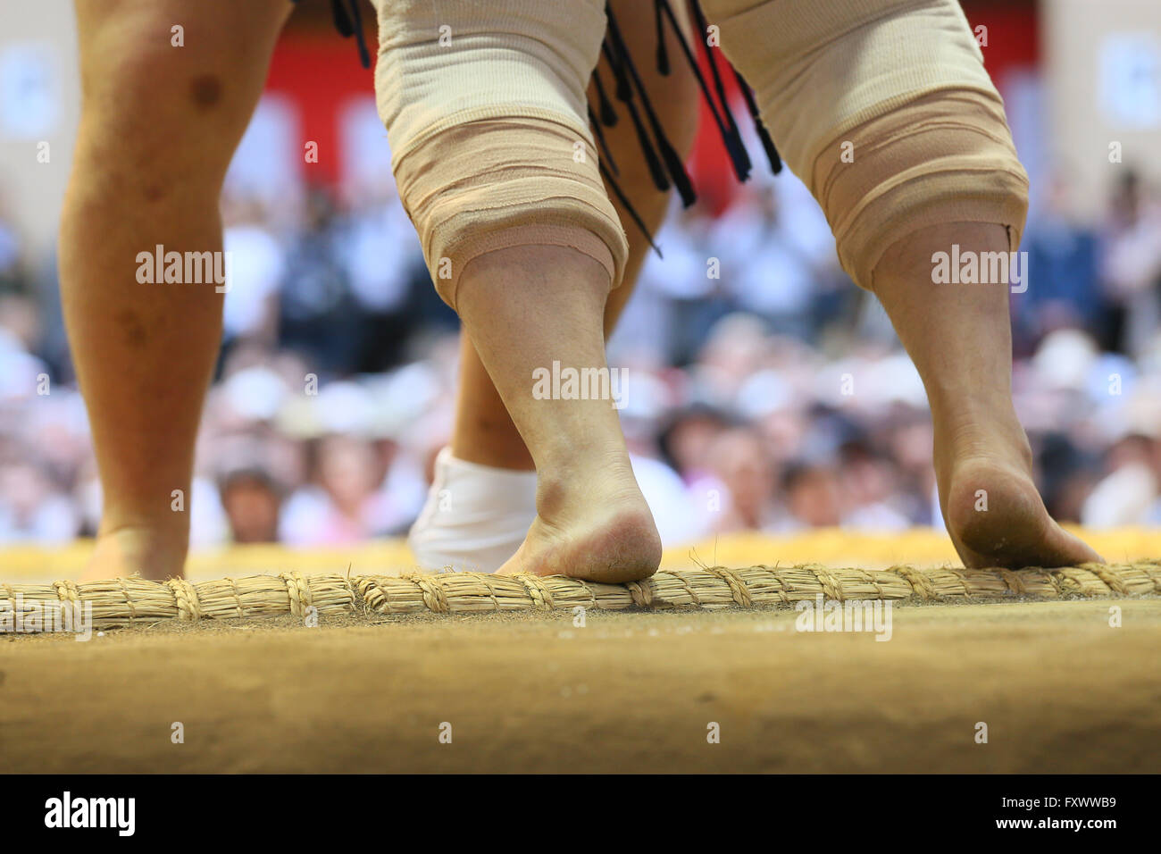 Ambiance shot, APRIL 18, 2016 - Sumo : Annual sumo tournament dedicated ...