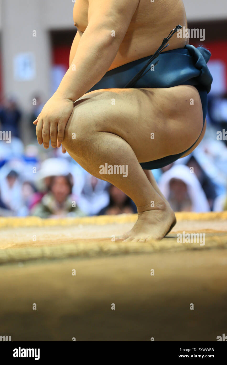 Ambiance shot, APRIL 18, 2016 - Sumo : Annual sumo tournament dedicated ...