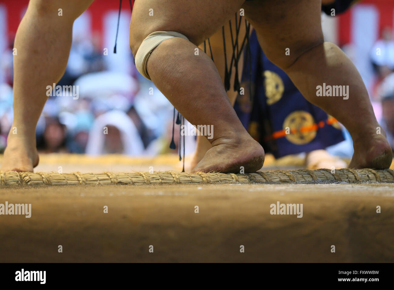 Ambiance shot, APRIL 18, 2016 - Sumo : Annual sumo tournament dedicated ...