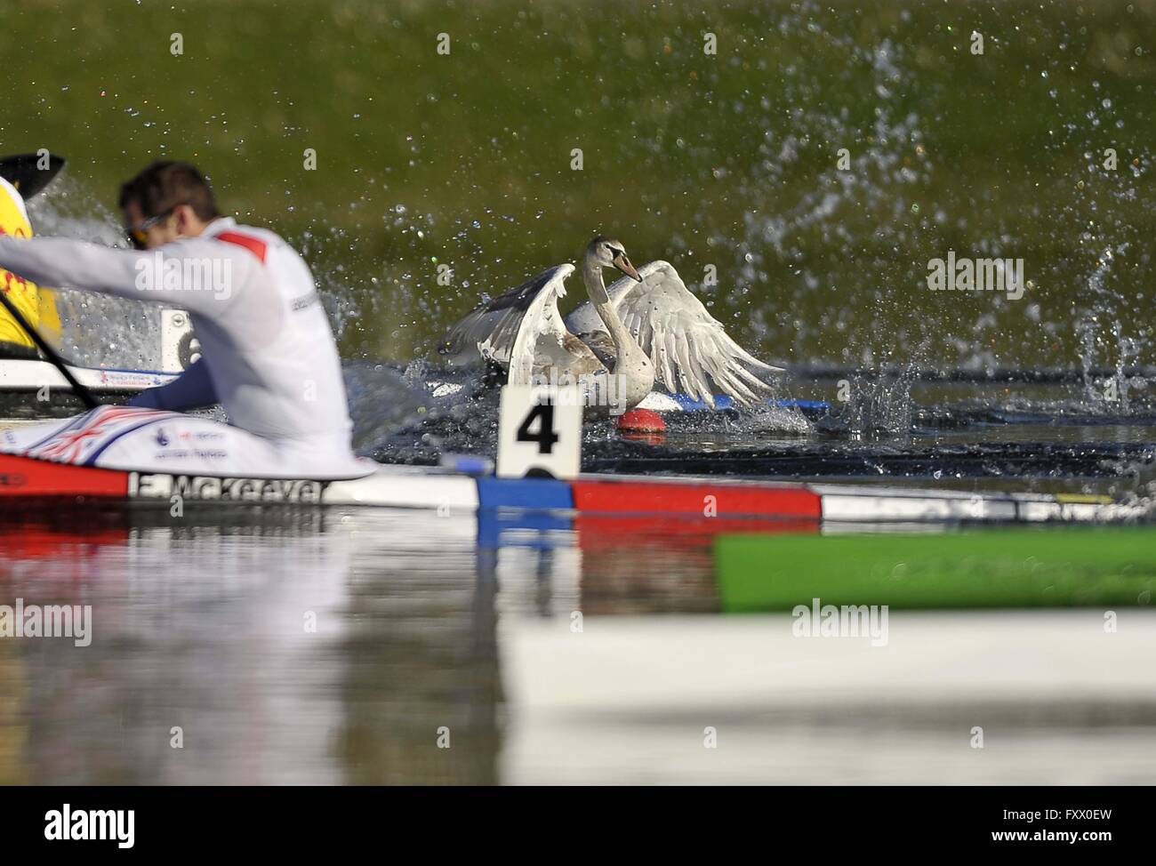National signet hi-res stock photography and images - Alamy