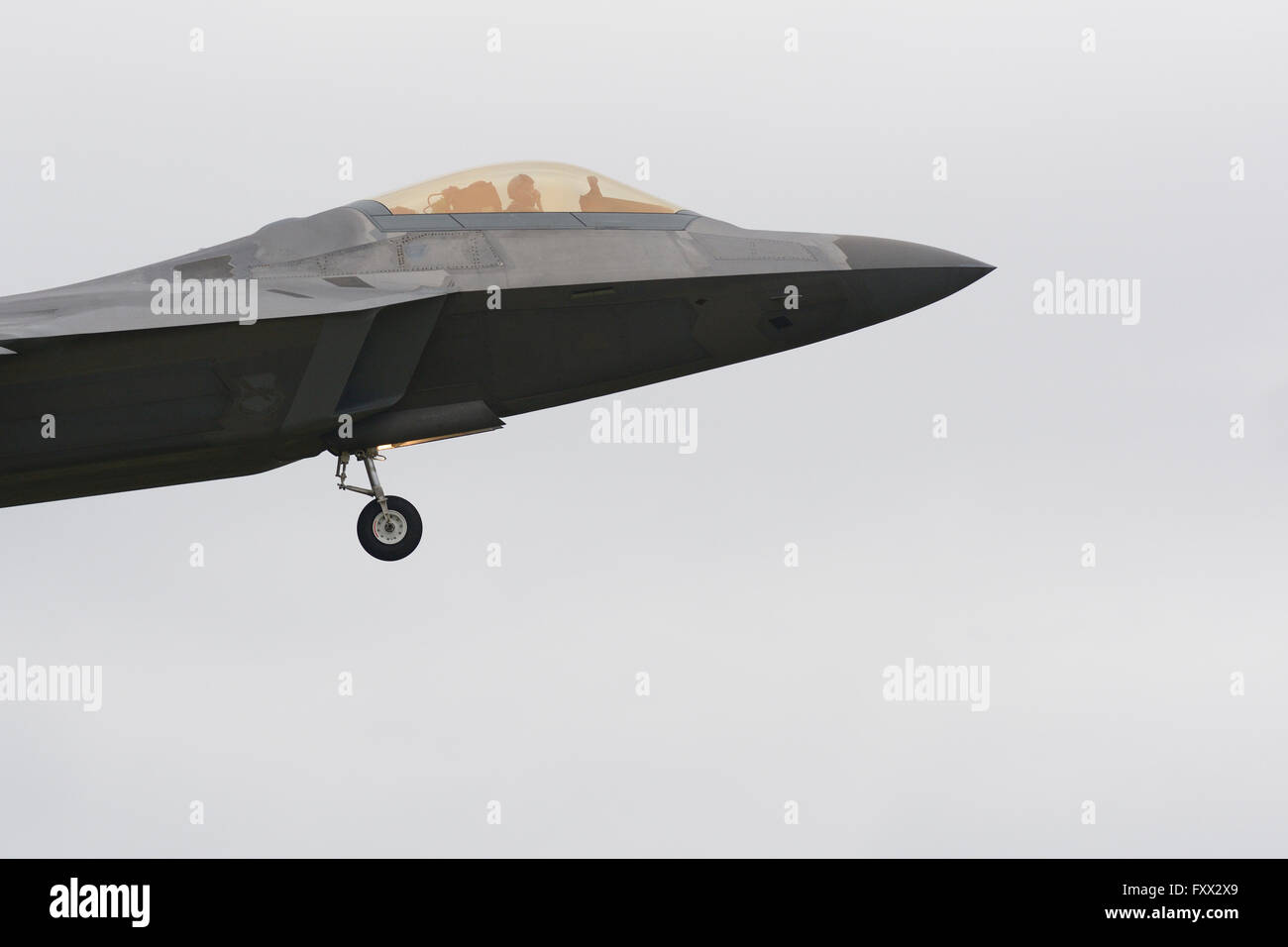 F22 Raptor Nose High Resolution Stock Photography and Images - Alamy