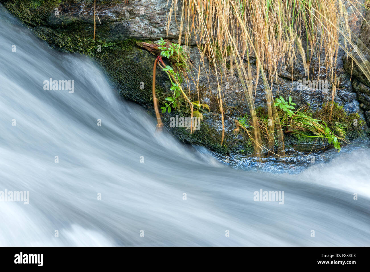 Detail of small river on the mountain Stock Photo - Alamy