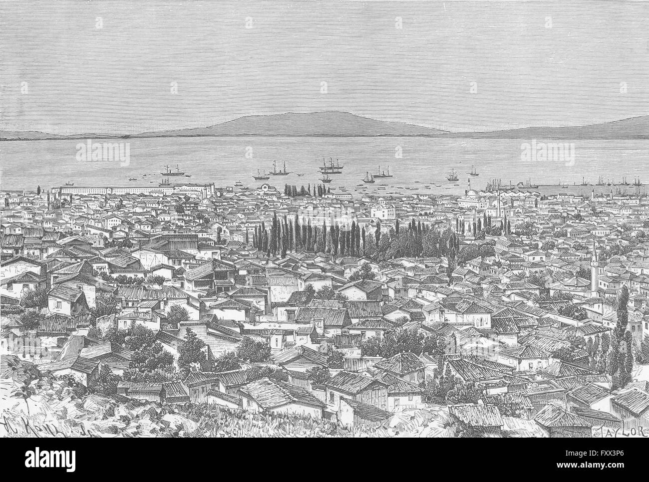 Pagus hi-res stock photography and images - Alamy