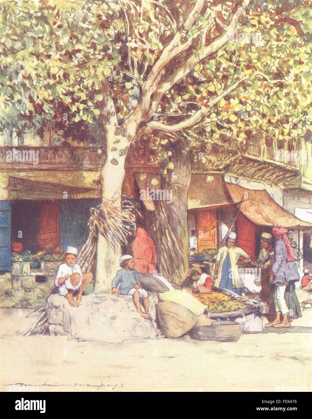 INDIA: Mid-day, Delhi, antique print 1905 Stock Photo - Alamy