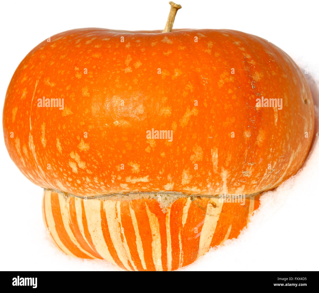 pumpkin in the snow in bright sunlight Stock Photo - Alamy