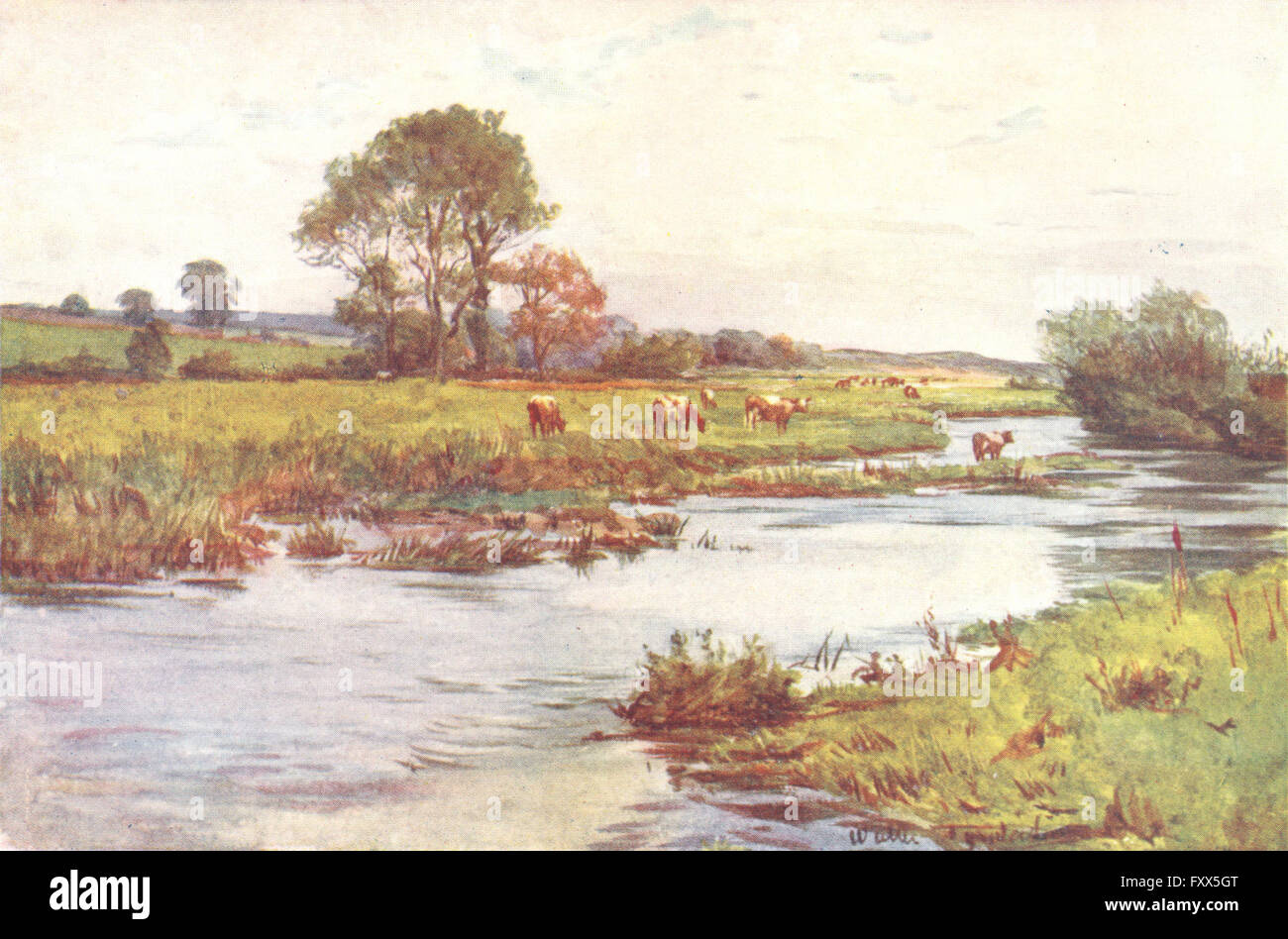 SOMT: Frome above Dorchester(Casterbridge), antique print 1906 Stock ...