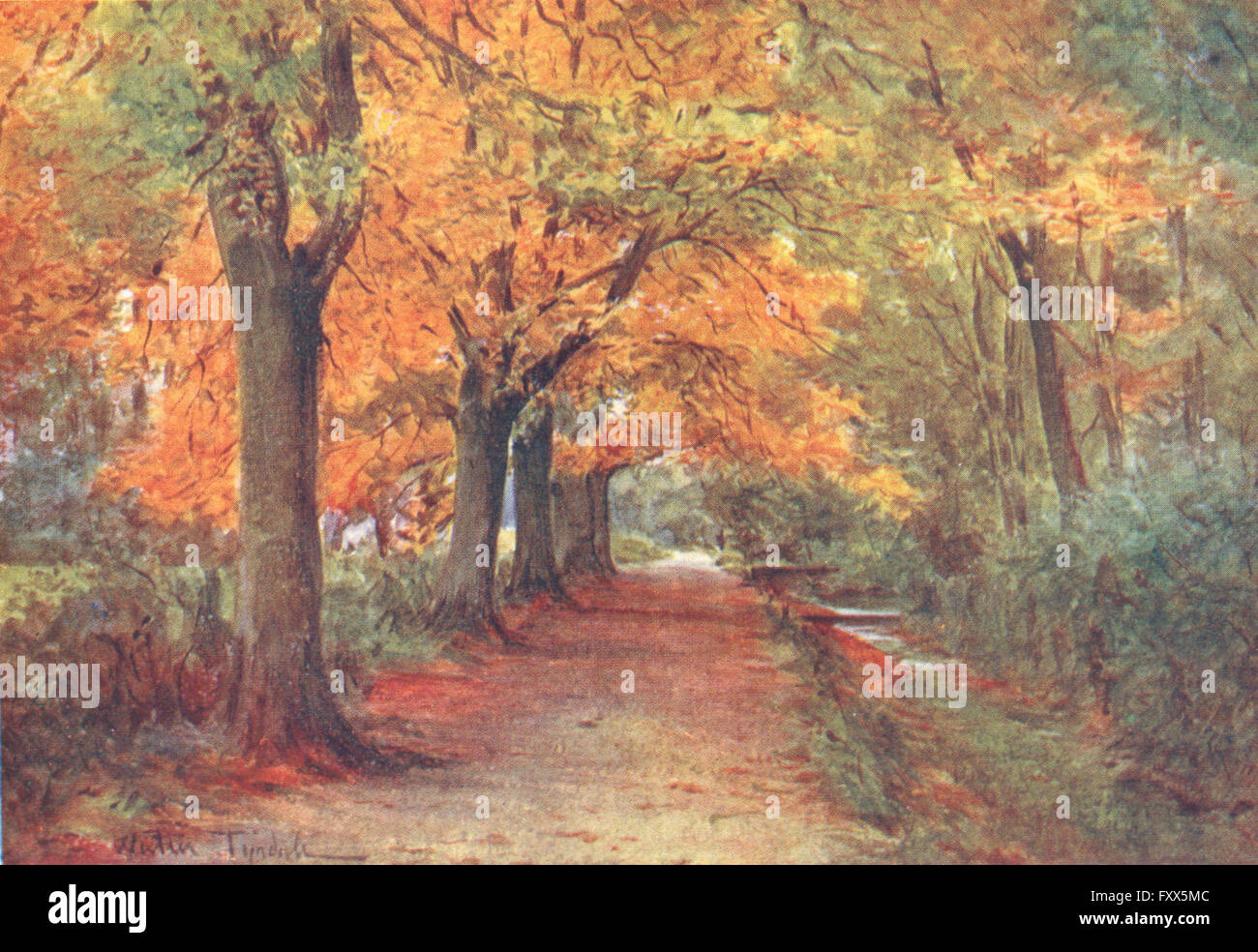 BOCKHAMPTON BANK: Mellstock La Greenwood Tree, antique print 1906 Stock ...