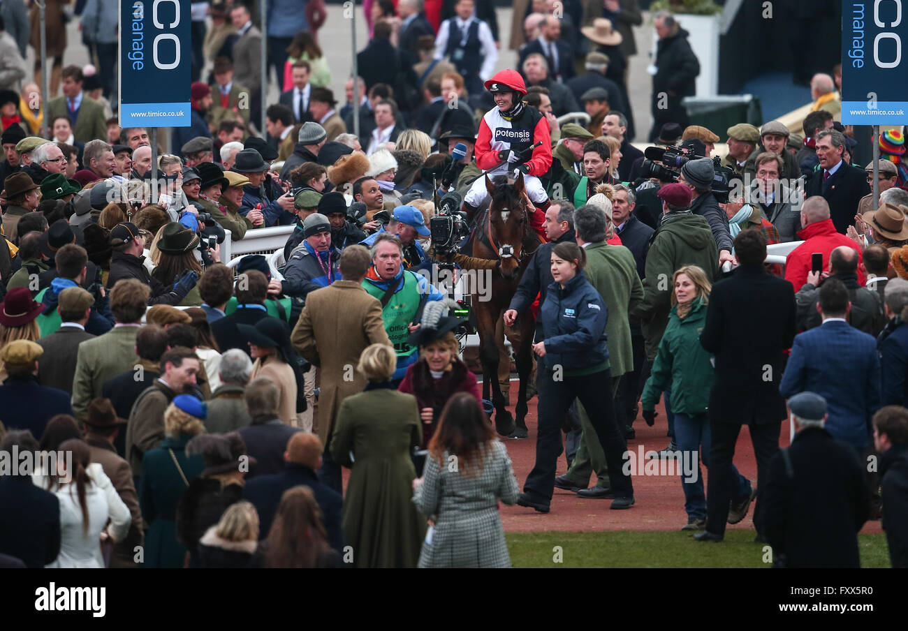 Cheltenham festival parade ring hi-res stock photography and images - Alamy
