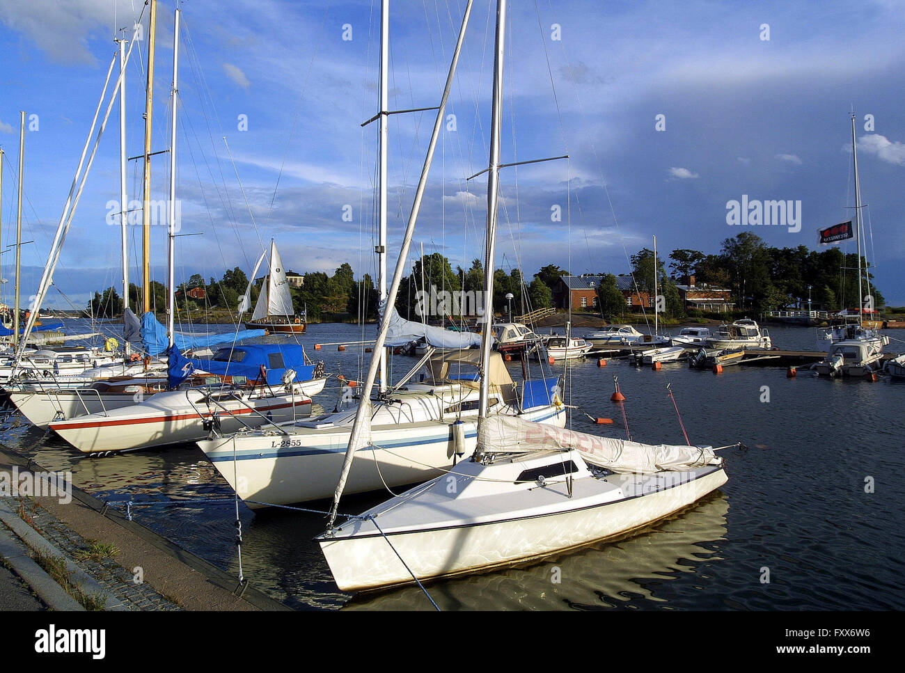 Eira marina hi-res stock photography and images - Alamy