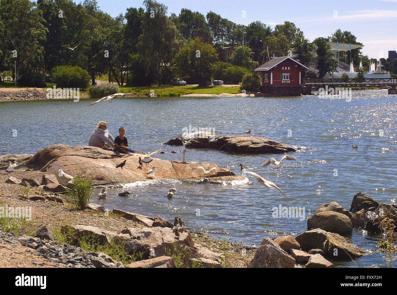 Finland: Helsinki : feeding the birds in Meilahti Stock Photo - Alamy