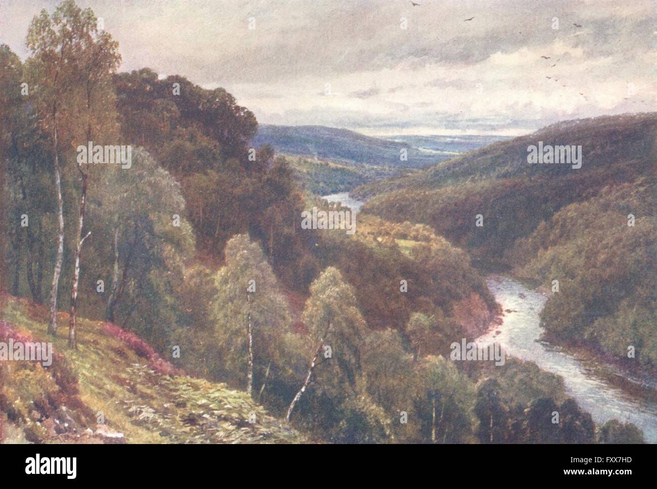 Bonnie glass hi-res stock photography and images - Alamy