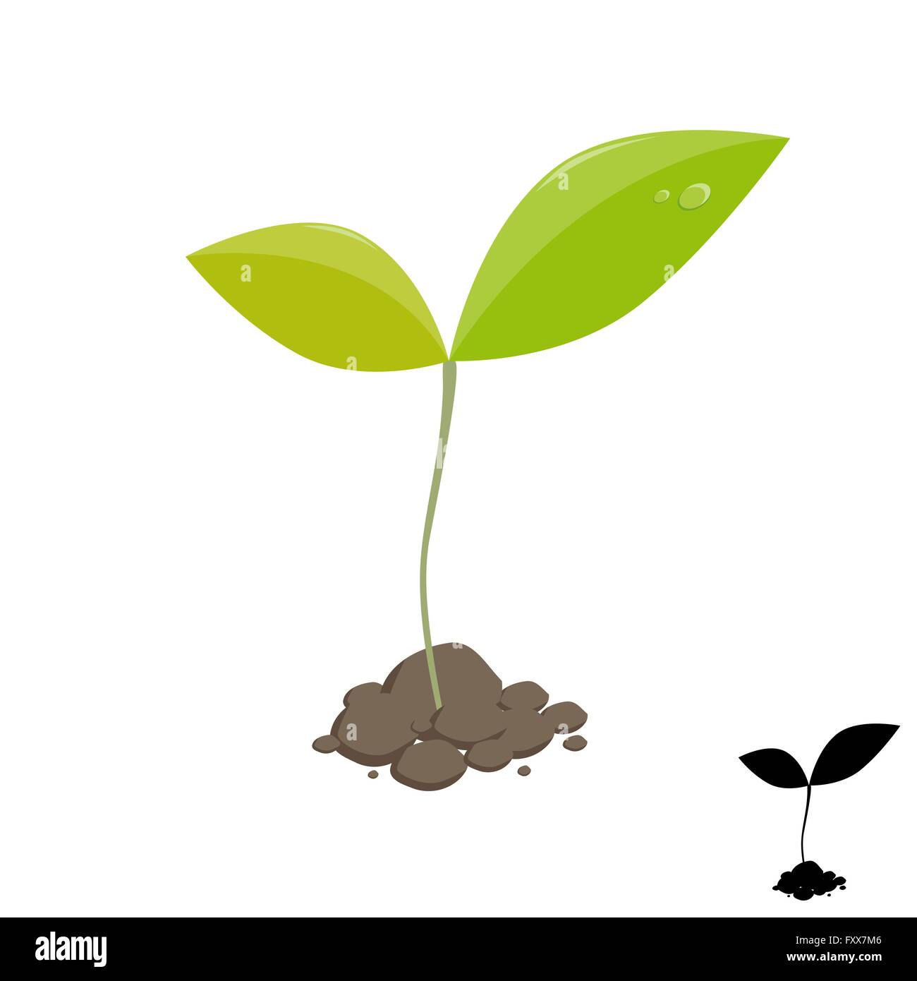 Little plant sprout. Vector illustration Stock Vector Image & Art - Alamy