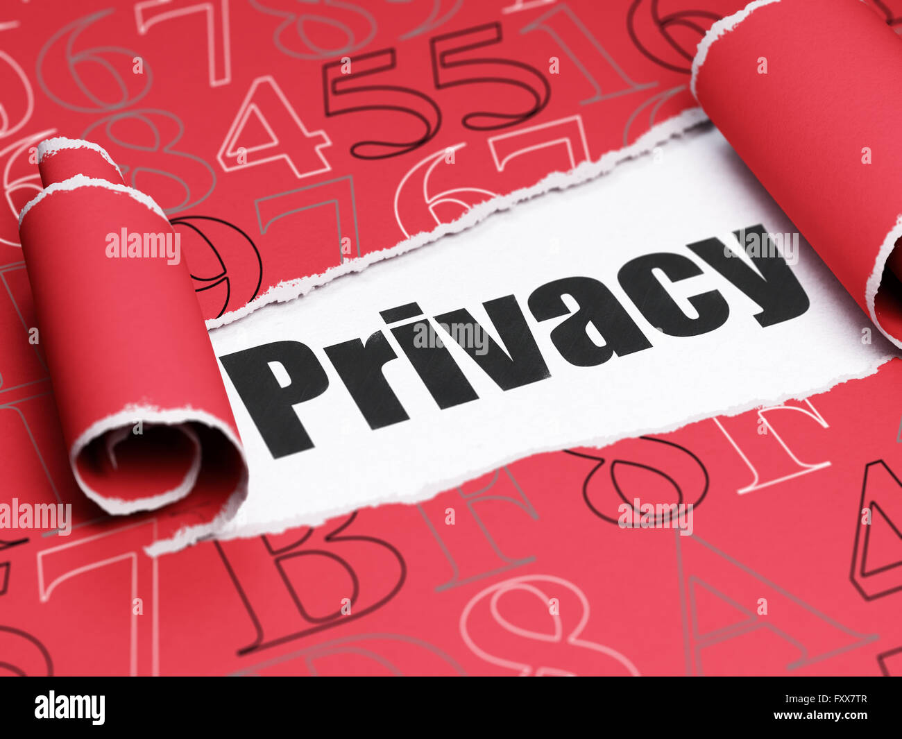 Security concept: black text Privacy under the piece of torn paper ...
