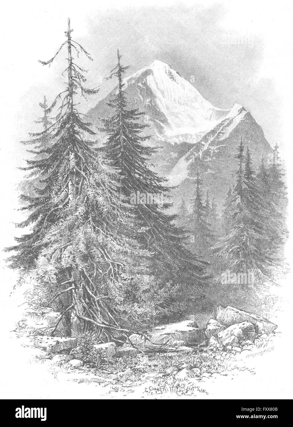 Eiger map hi-res stock photography and images - Alamy