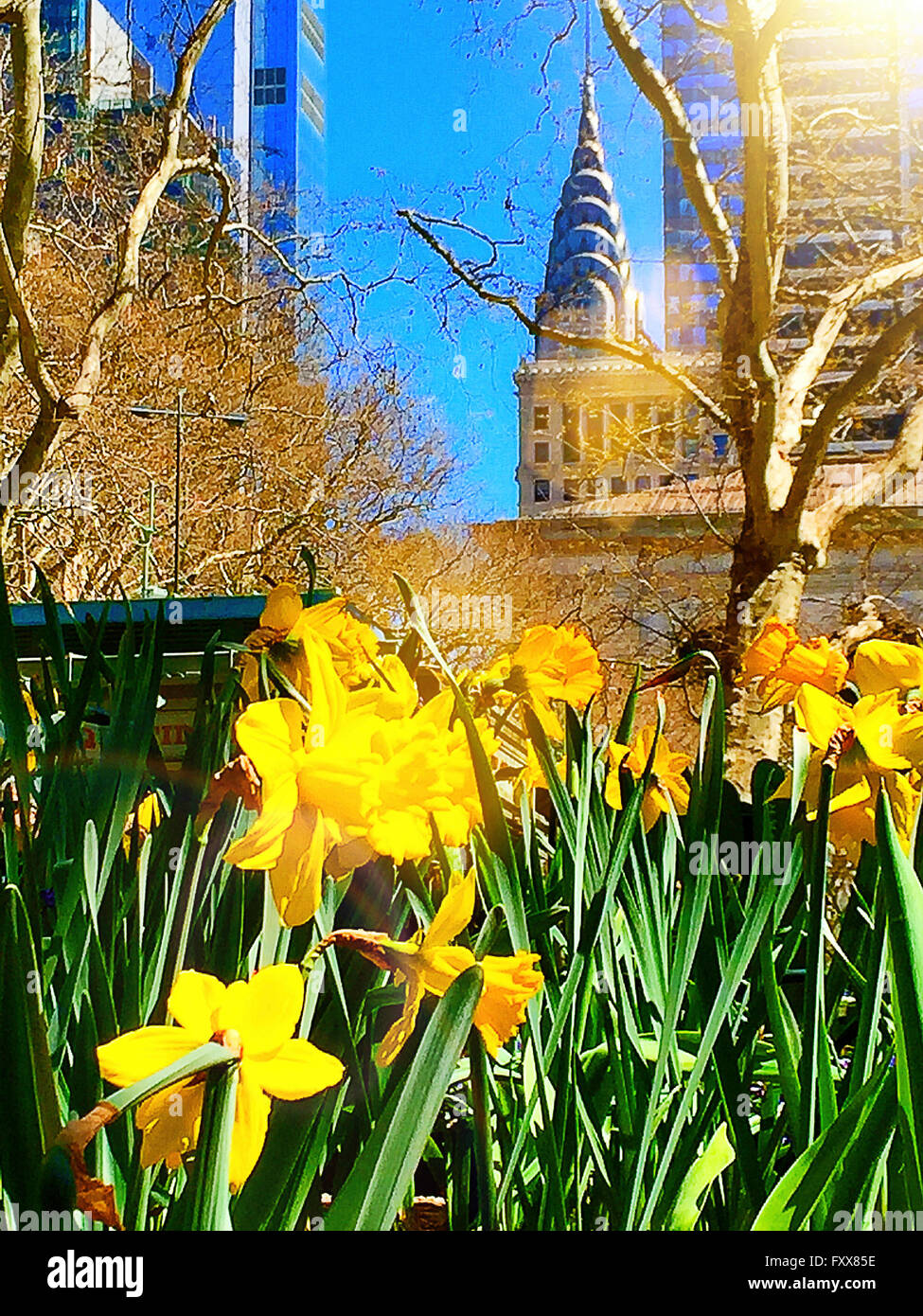 Bryant Park in Springtime, NYC, USA Stock Photo - Alamy