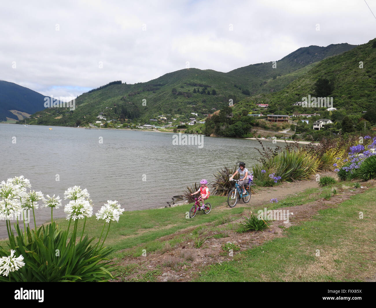 Anakiwa new zealand hi-res stock photography and images - Alamy