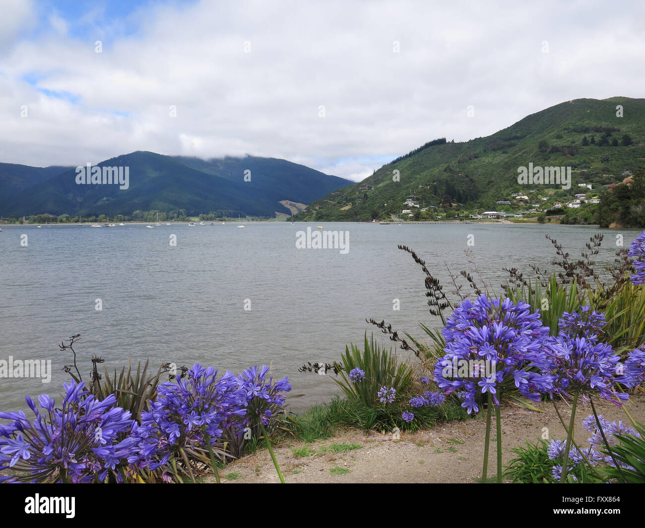 Anakiwa new zealand hi-res stock photography and images - Alamy