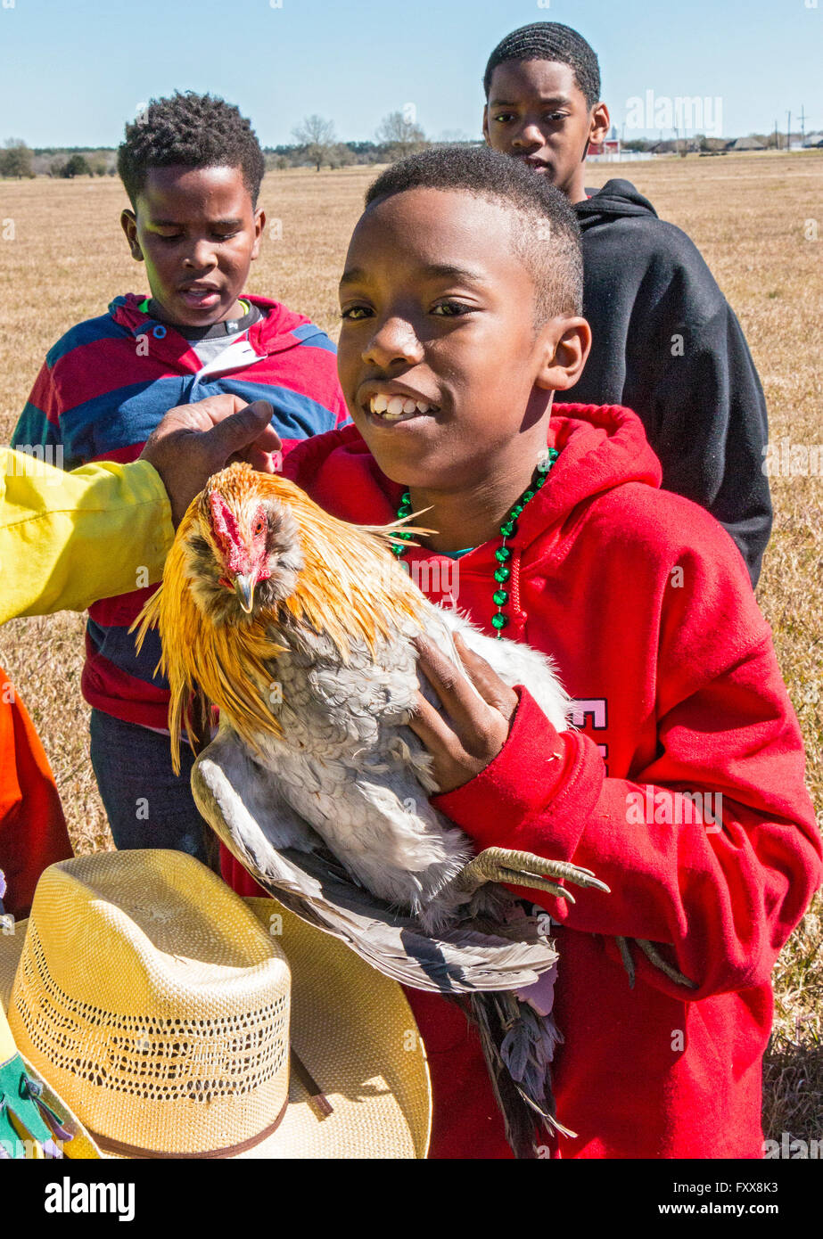 Victorious teen boy chicken catcher during the traditional Chicken Run ...