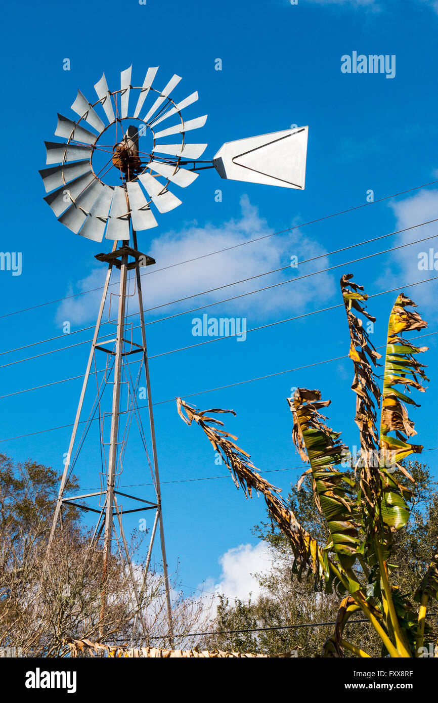 Windmill along a bayou in southern Louisiana Stock Photo - Alamy