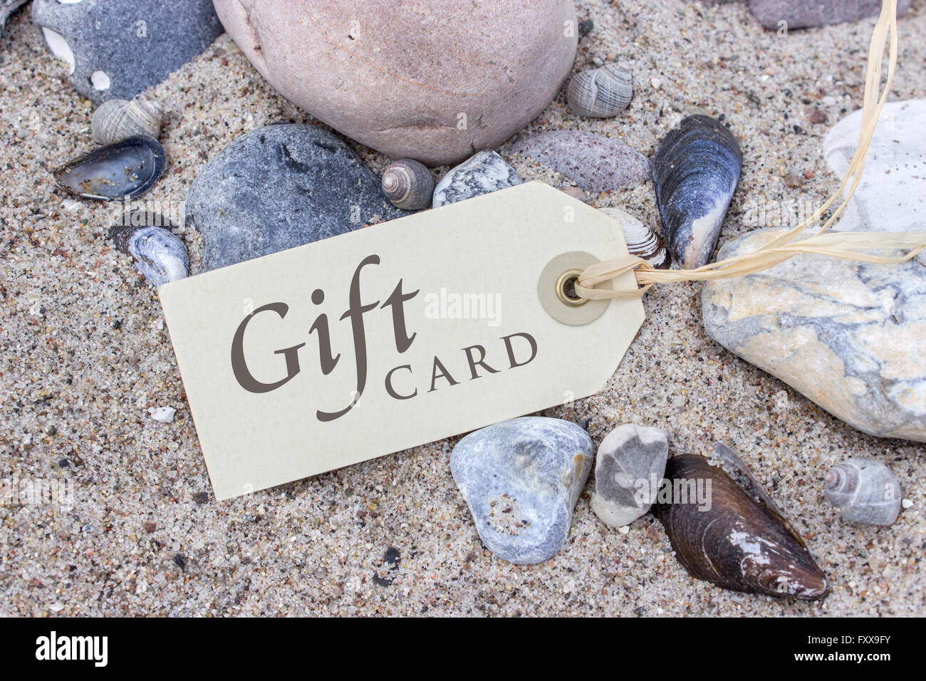 Gift Card on the sandy beach with stones and shells Stock Photo - Alamy