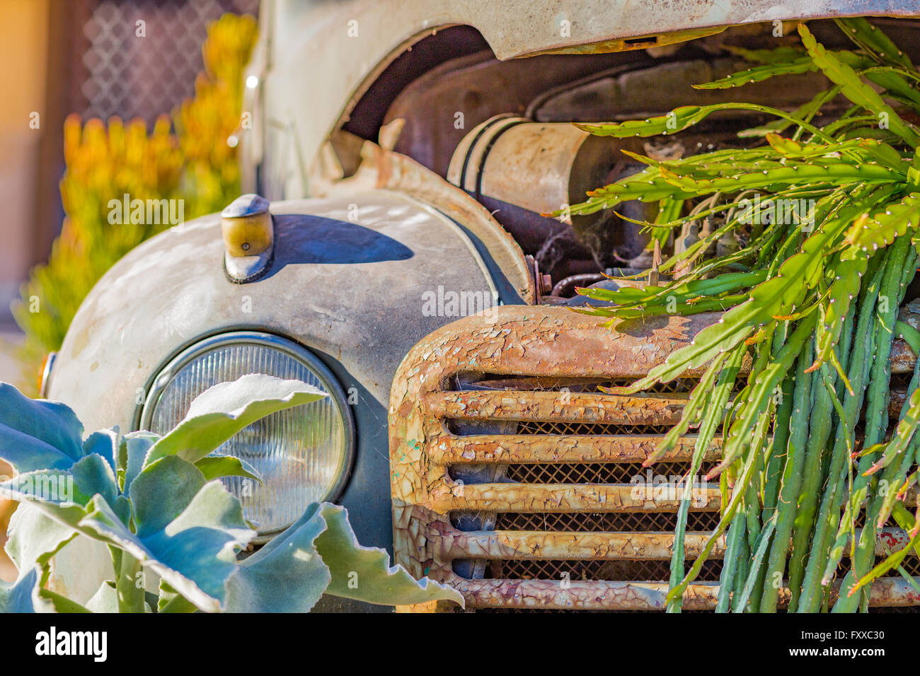 Carcass old rusty car in hi-res stock photography and images - Alamy
