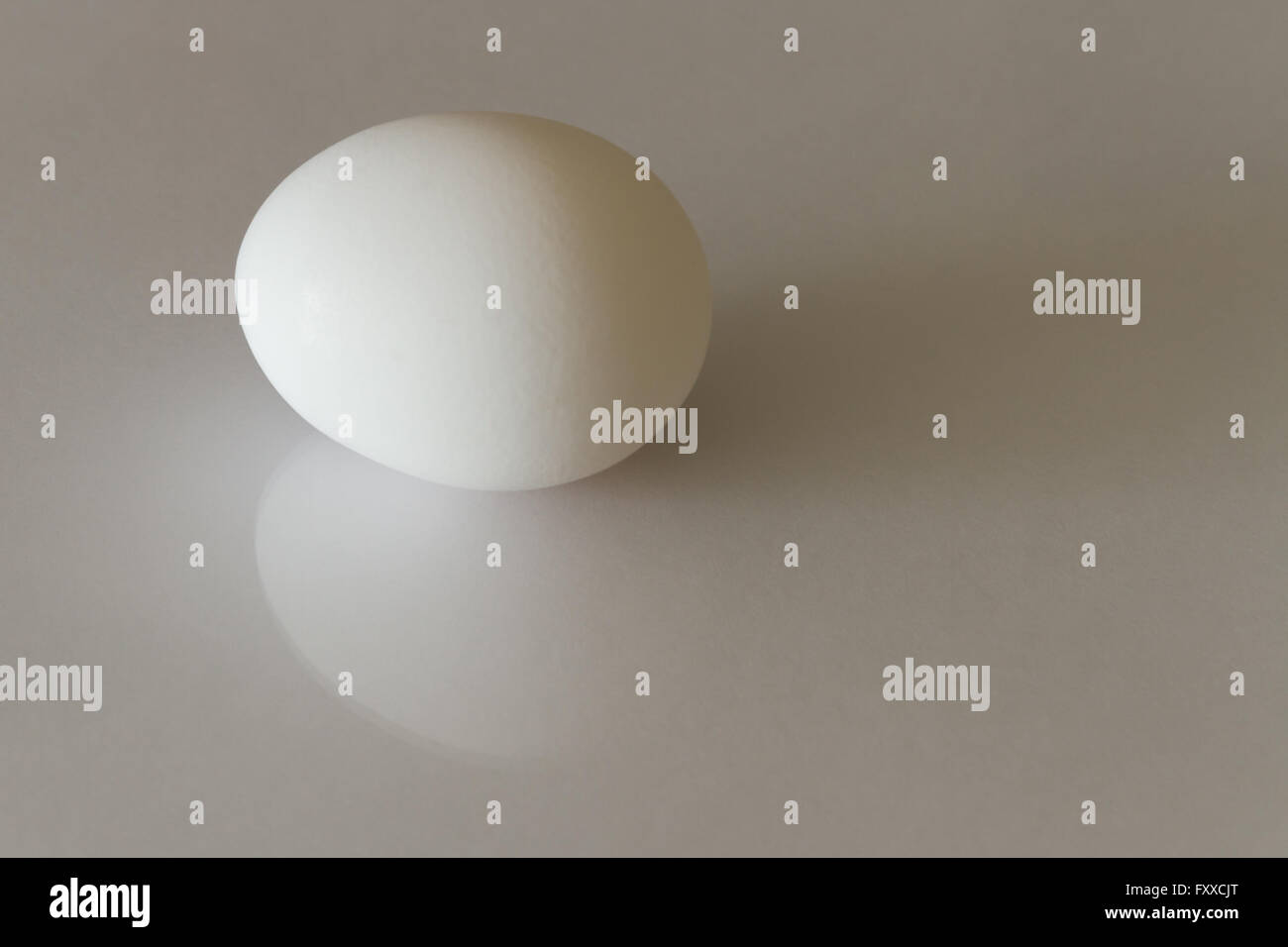 A single egg against a light background Stock Photo - Alamy