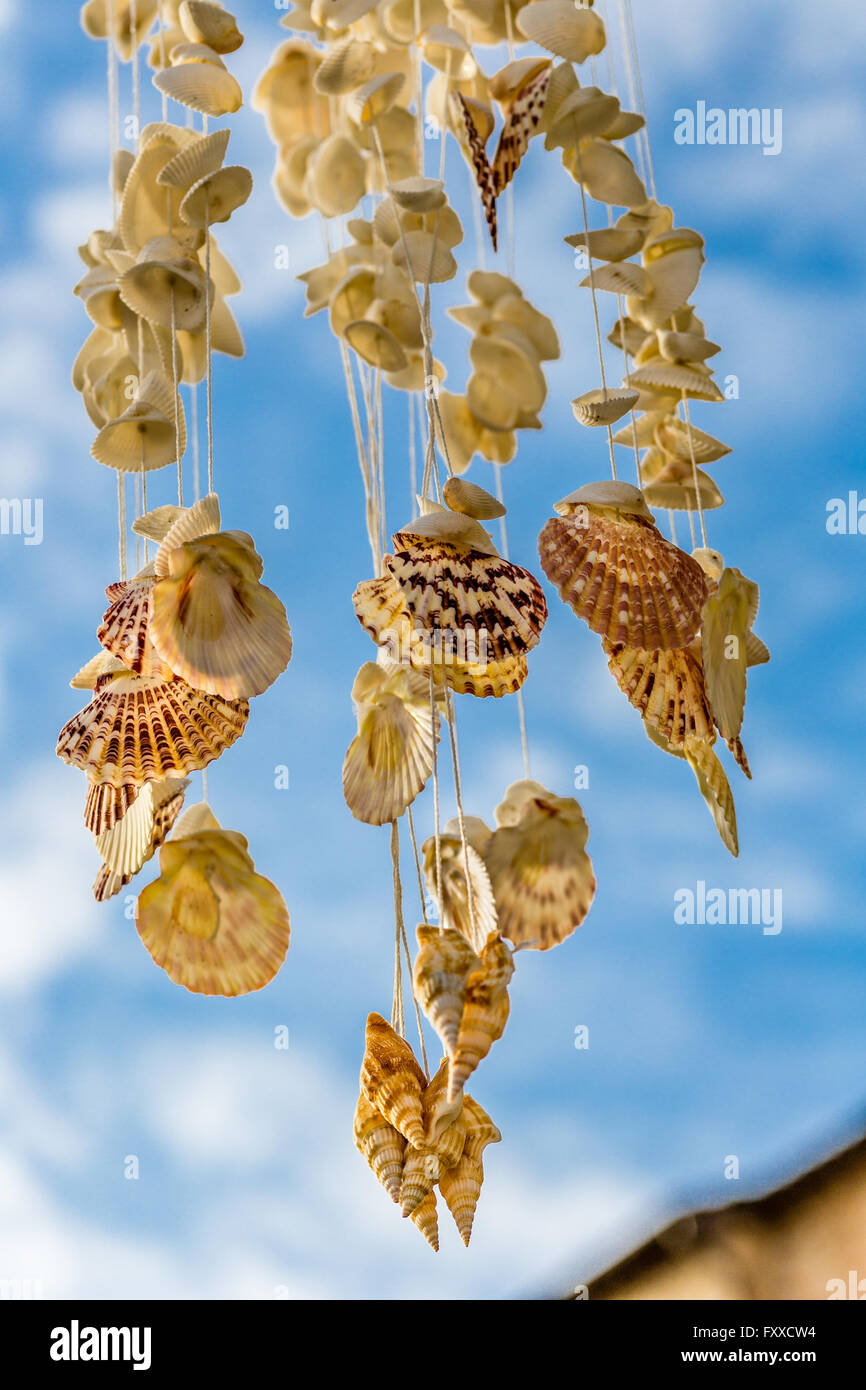Hanging shells isolated on white background Stock Photo - Alamy