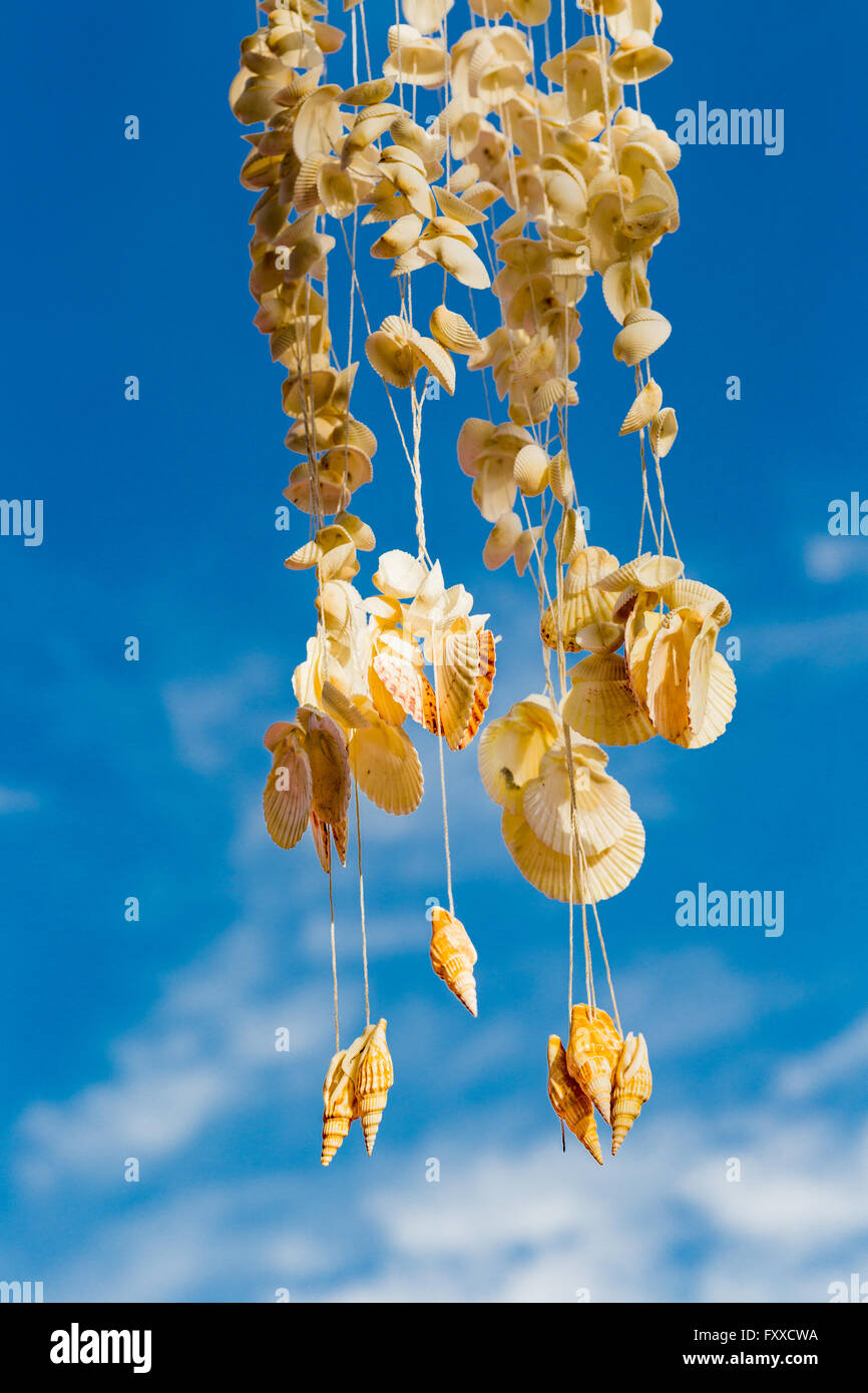 Hanging shells hi-res stock photography and images - Alamy