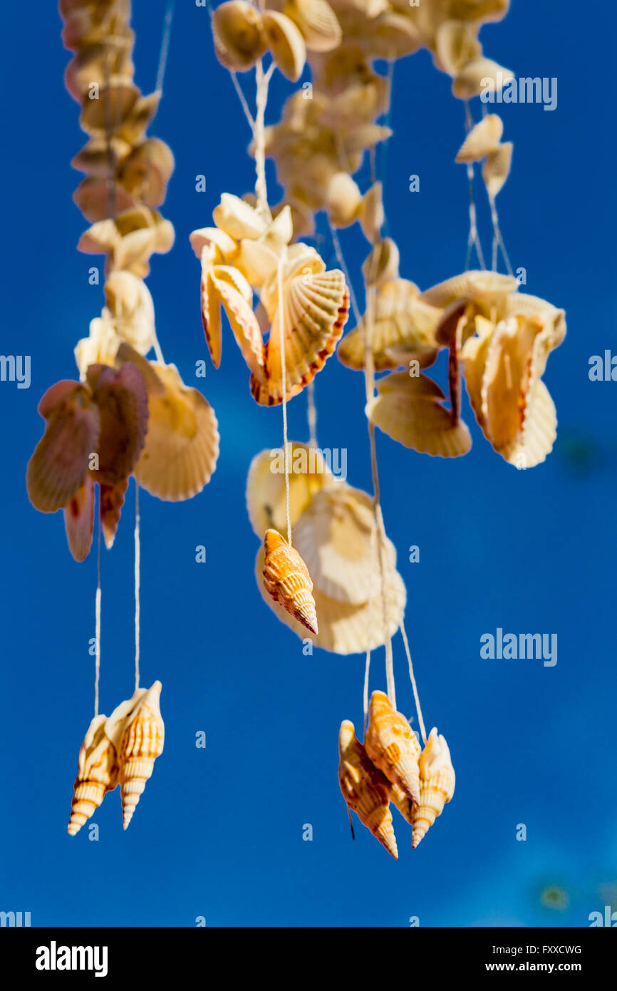Hanging shells hi-res stock photography and images - Alamy