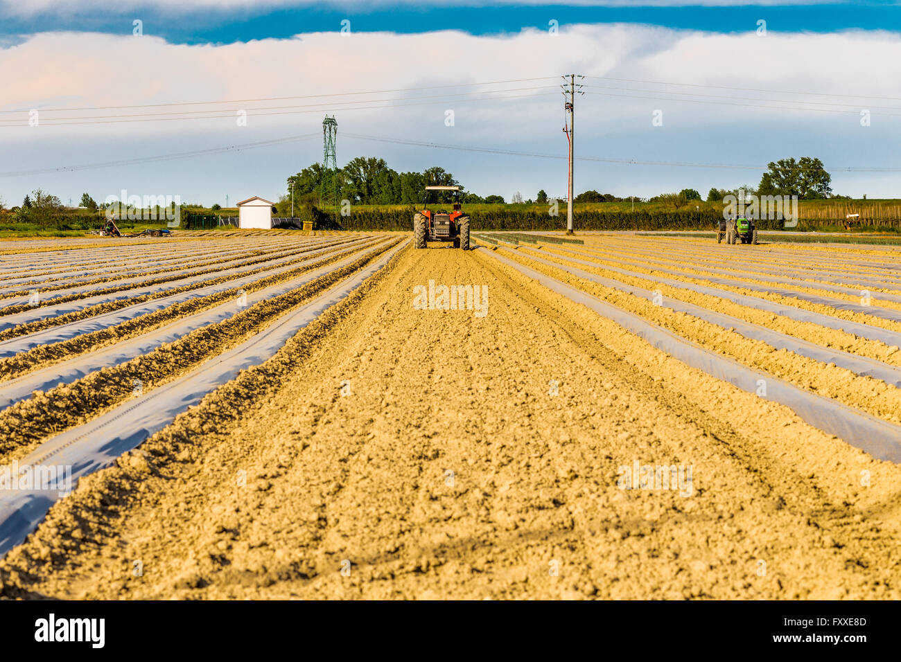 tractors working on the plowed fields in the process of preparation for ...