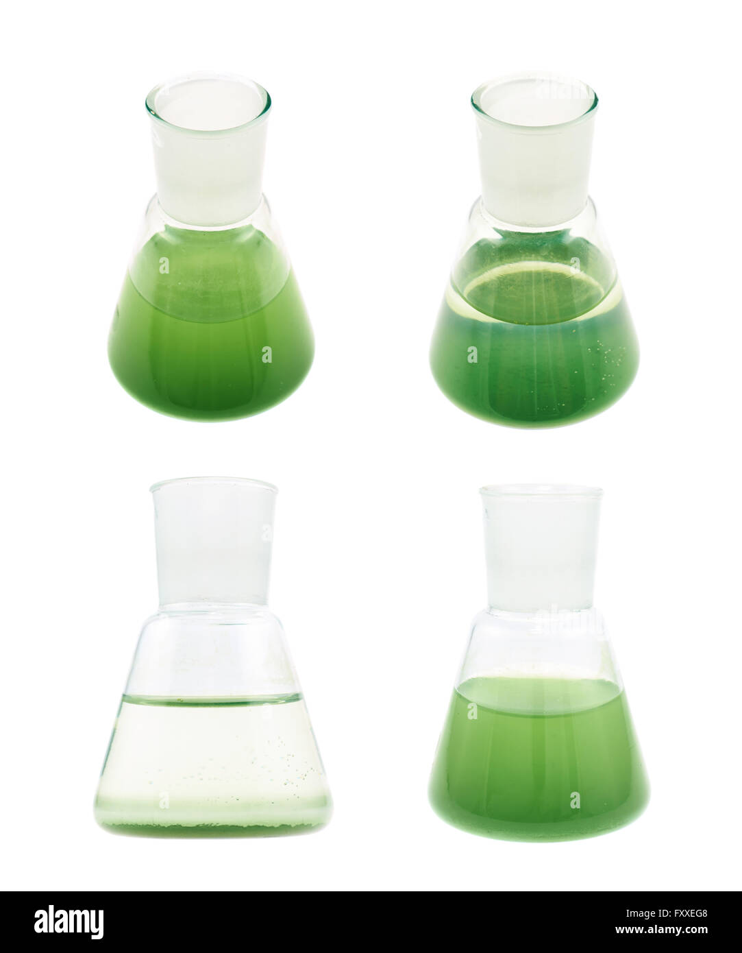 Erlenmeyer flask filled with liquid Stock Photo - Alamy