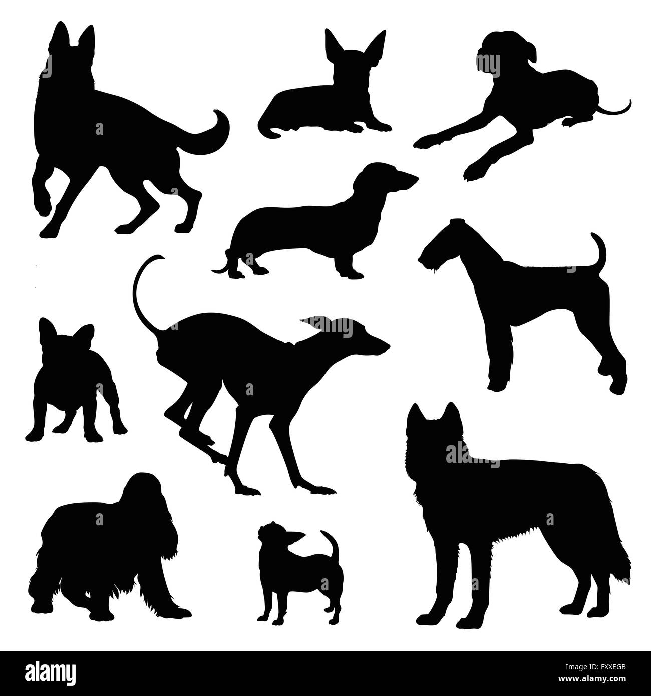 dog illustration set Stock Photo - Alamy