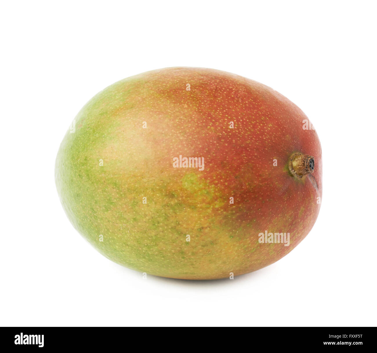 Single mango fruit isolated Stock Photo - Alamy