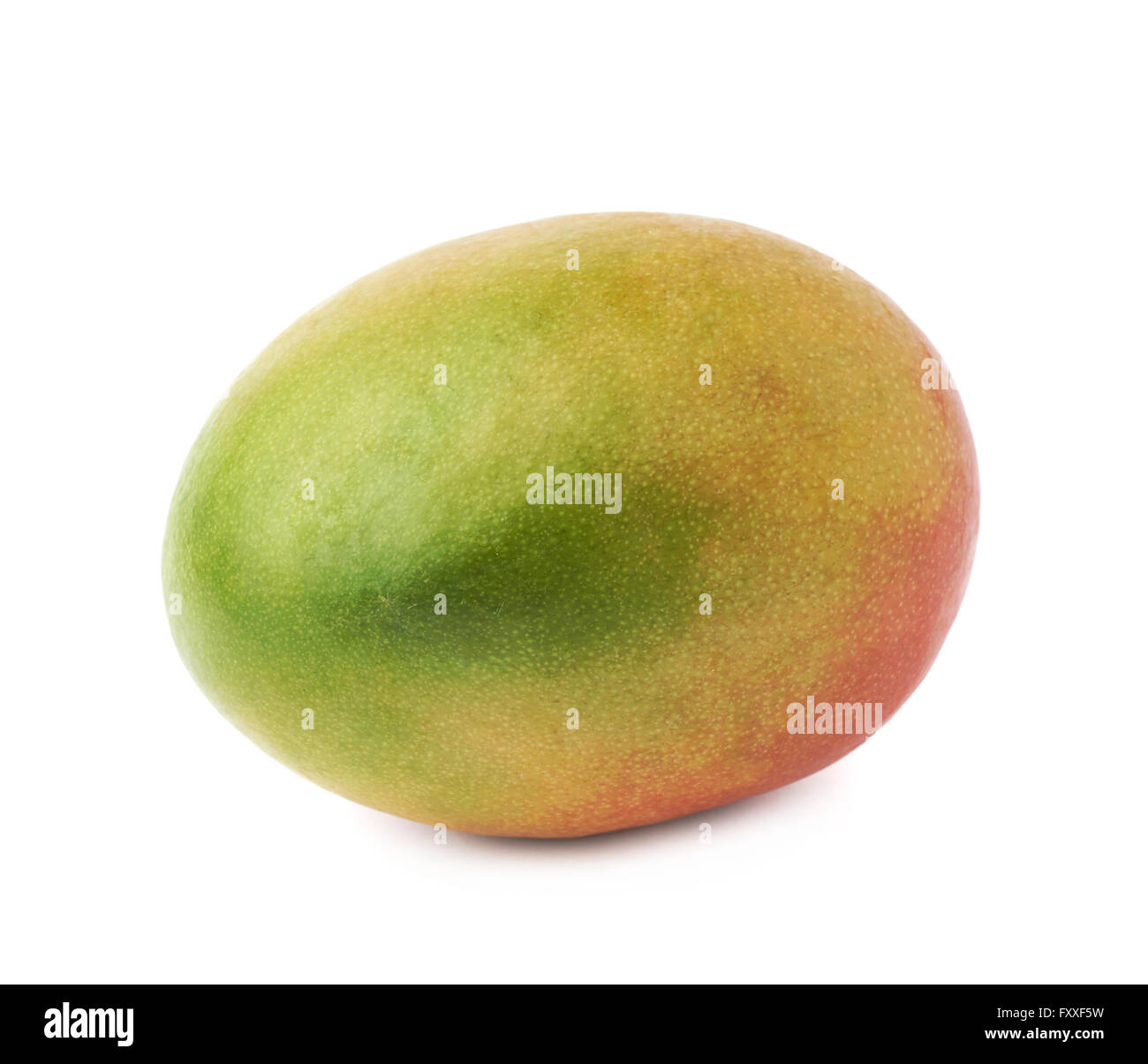 Single mango fruit isolated Stock Photo - Alamy