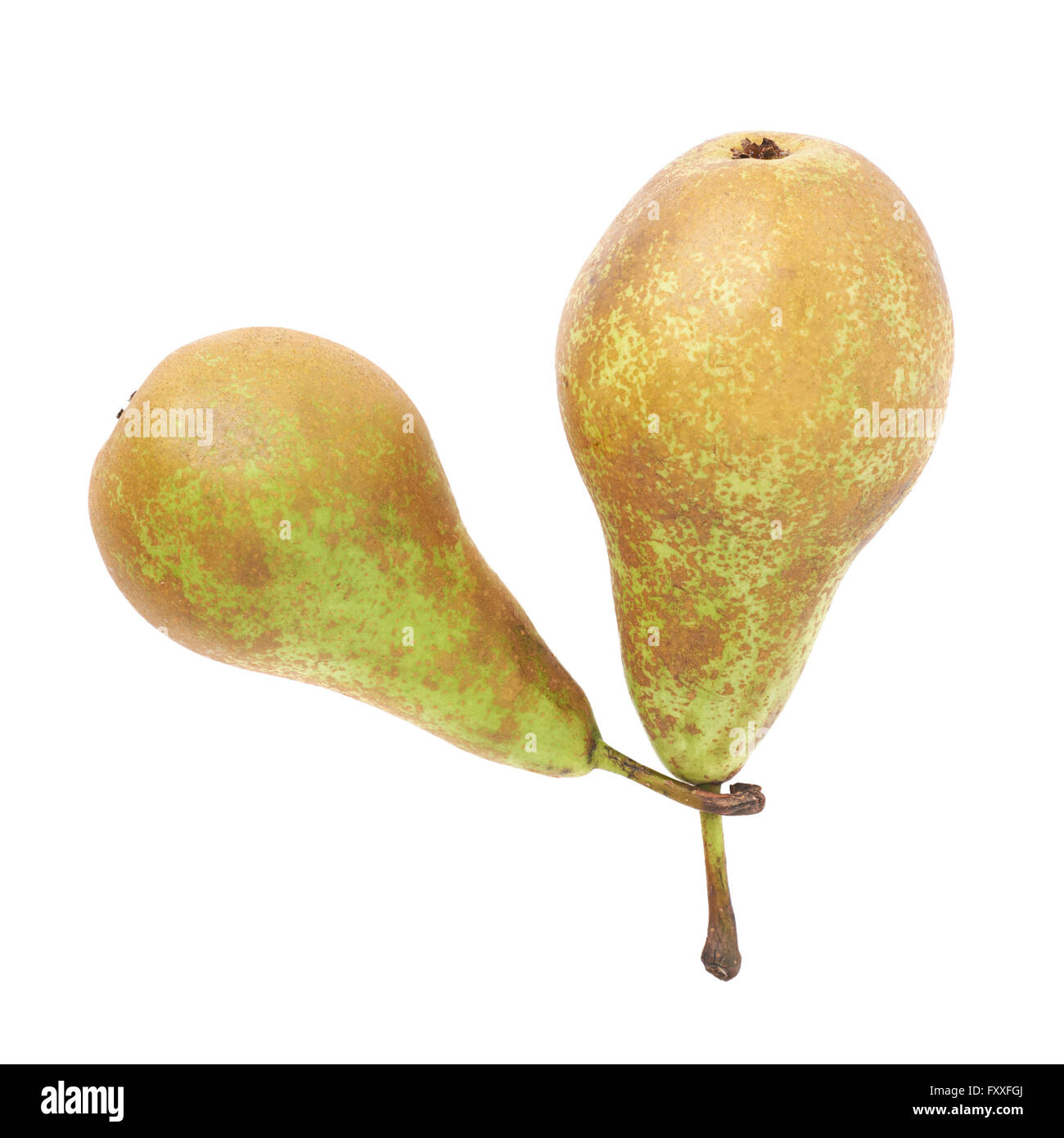Two green pears composition isolated Stock Photo - Alamy