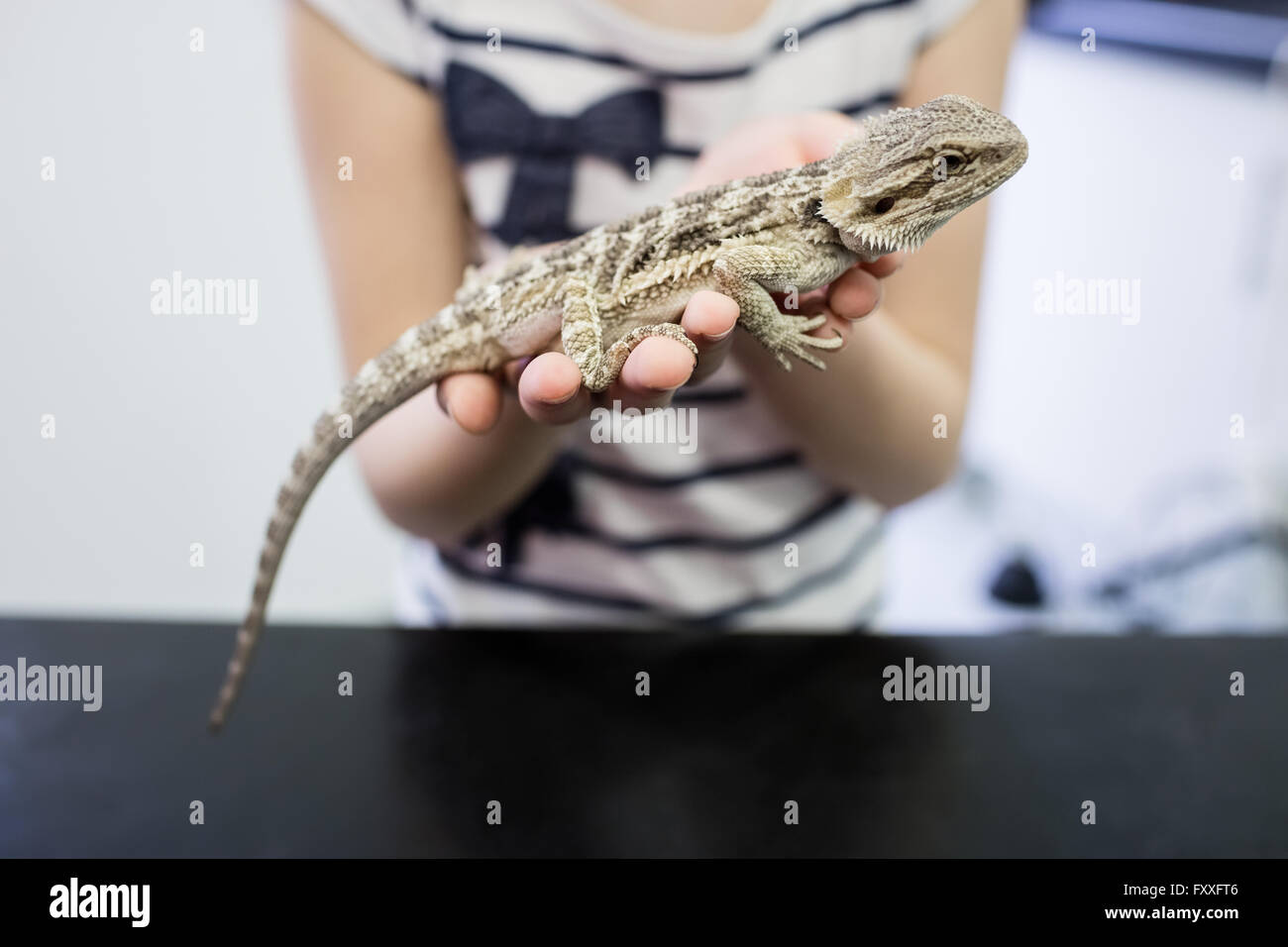 Mid-section of girl holding her pet lizard Stock Photo - Alamy