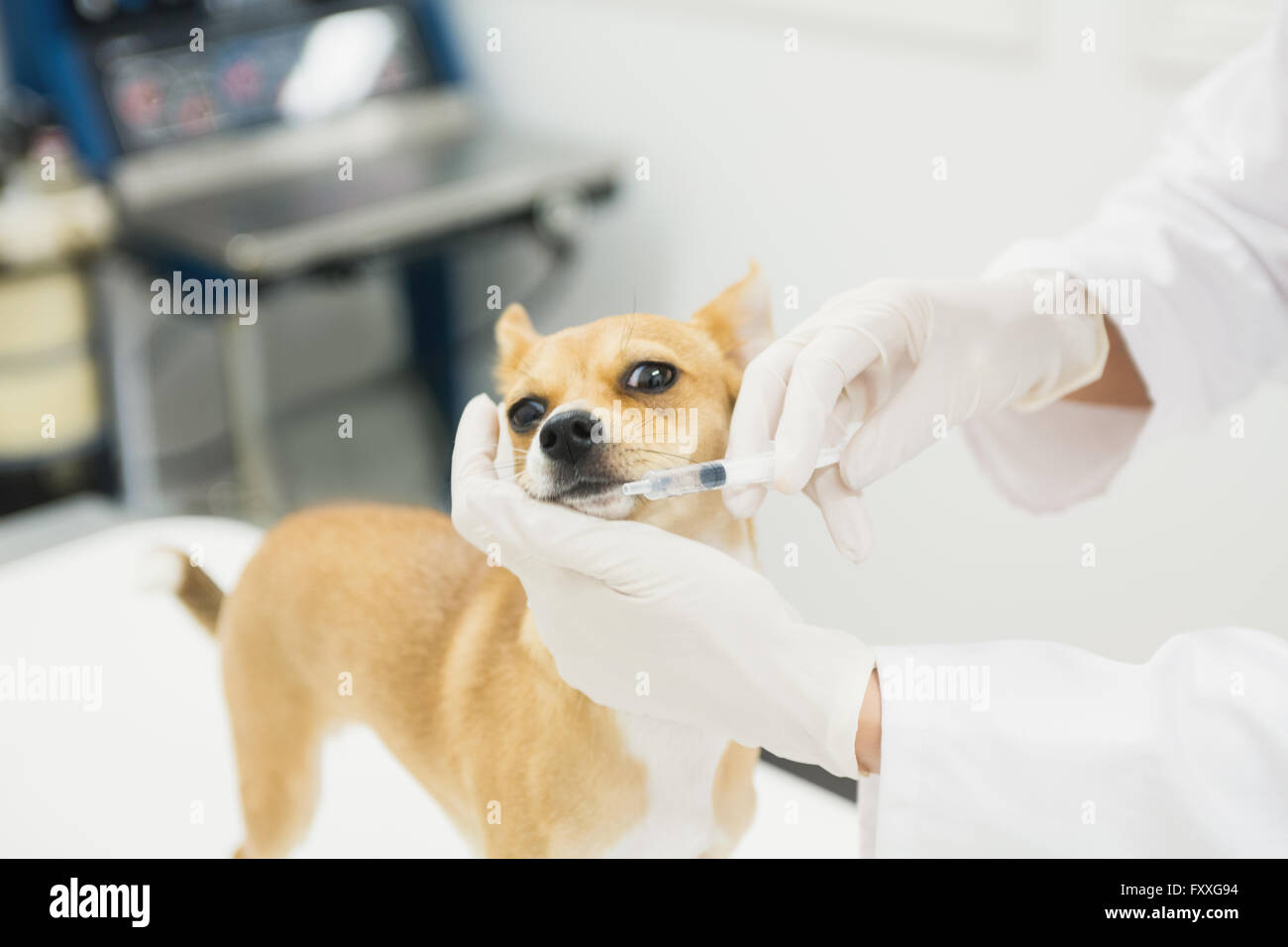 Giving an injection hi-res stock photography and images - Alamy
