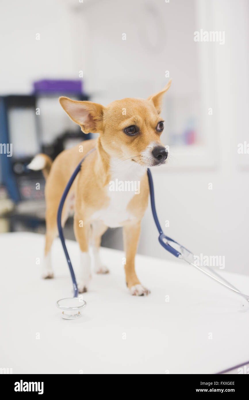 Medical examination table standing hi-res stock photography and images ...