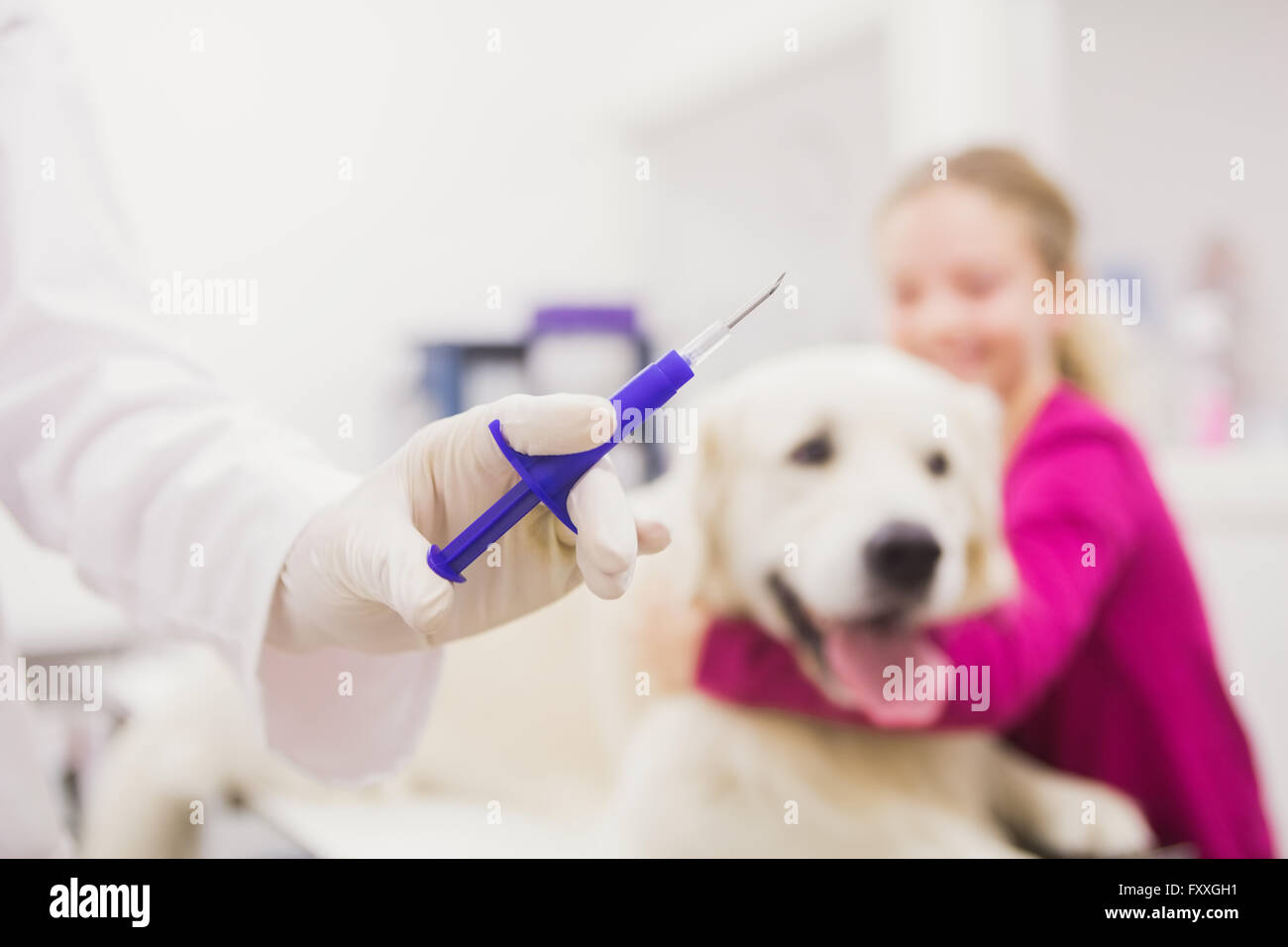 Veterinarian giving injection to dog Stock Photo - Alamy
